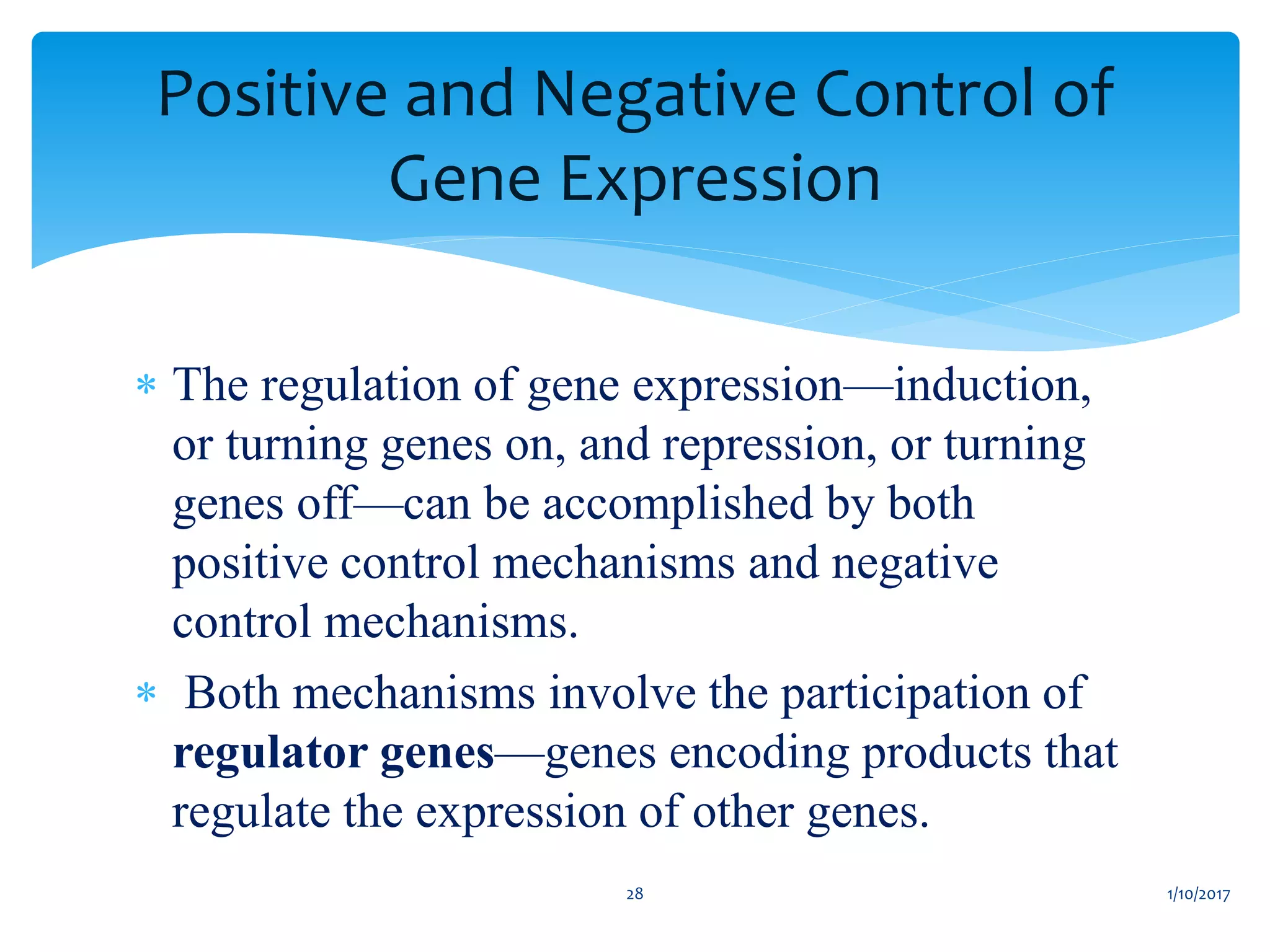 GENE REGULATION IN PROKARYOTES | PPTX
