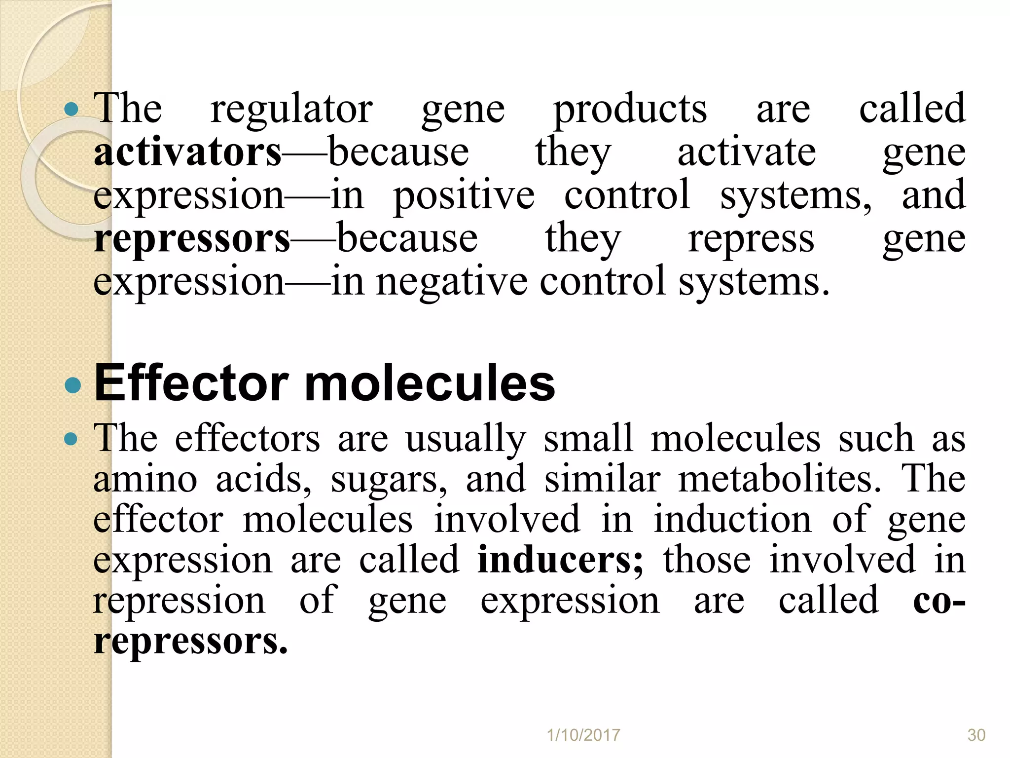 GENE REGULATION IN PROKARYOTES | PPTX