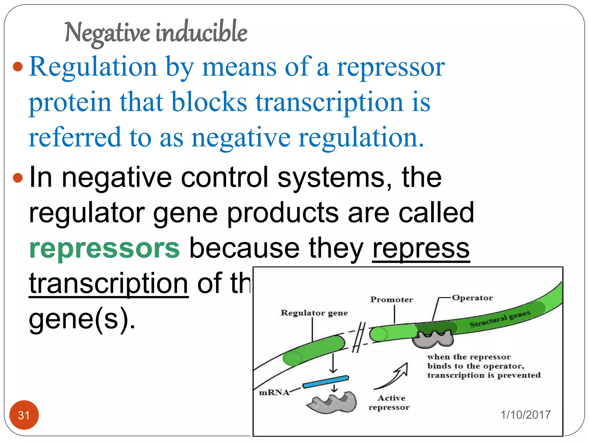 GENE REGULATION IN PROKARYOTES | PPTX