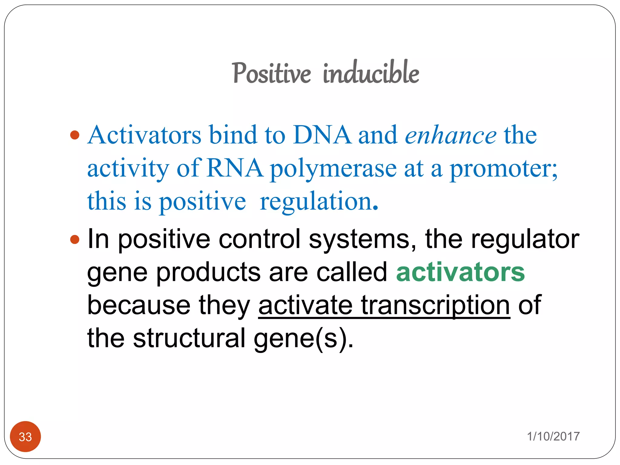 GENE REGULATION IN PROKARYOTES | PPTX