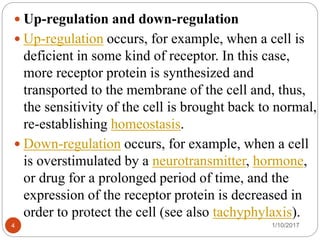 GENE REGULATION IN PROKARYOTES | PPTX