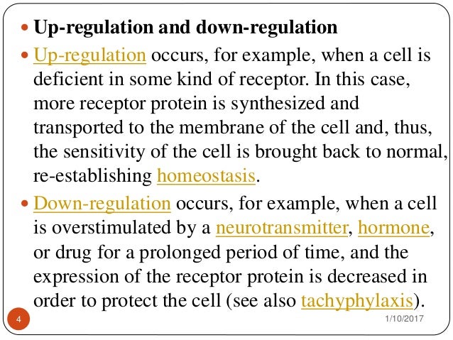 GENE REGULATION IN PROKARYOTES
