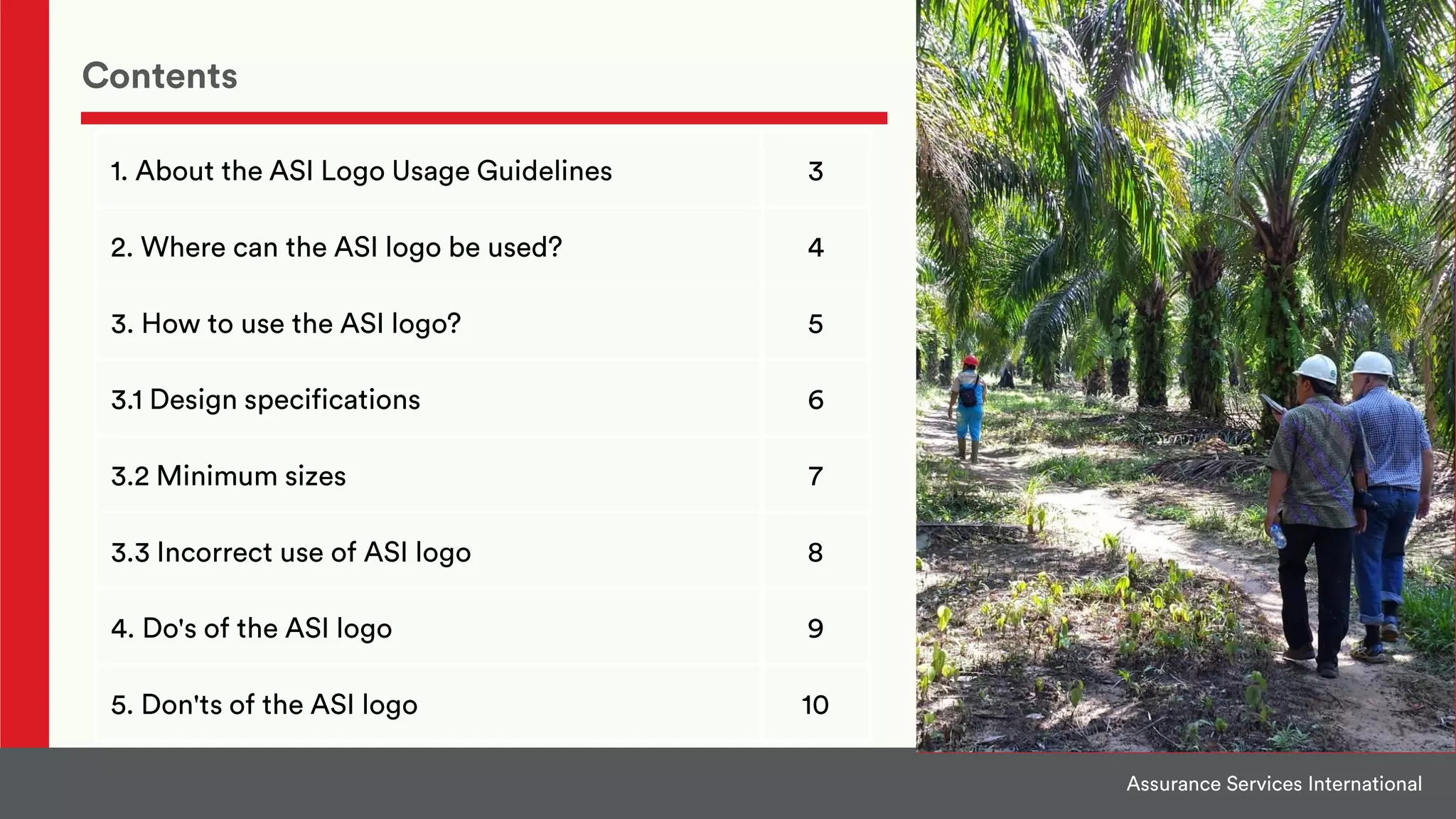 ASI Logo Usage Guidelines | PDF