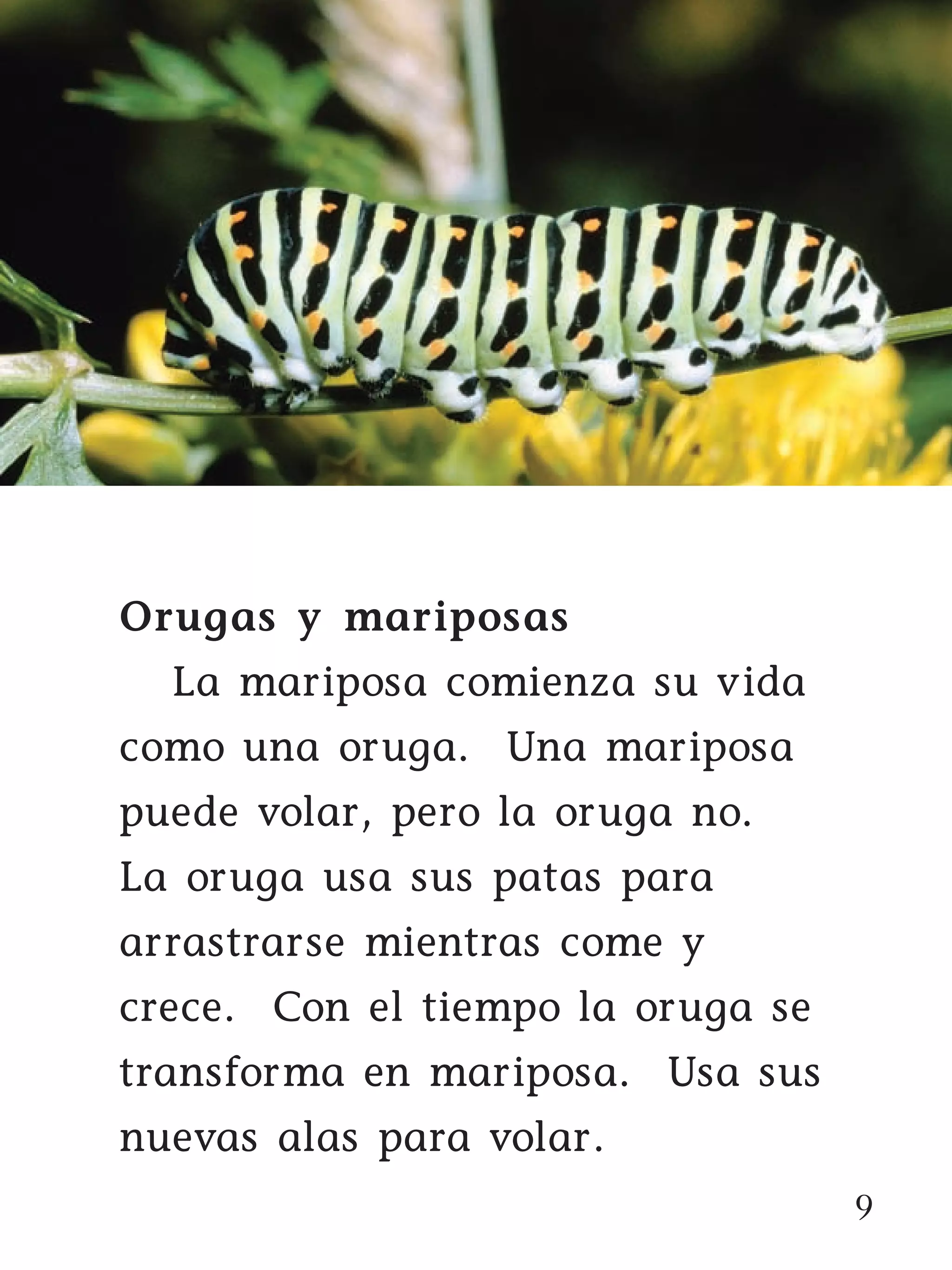 Asi se-mueven-los-animales | PDF