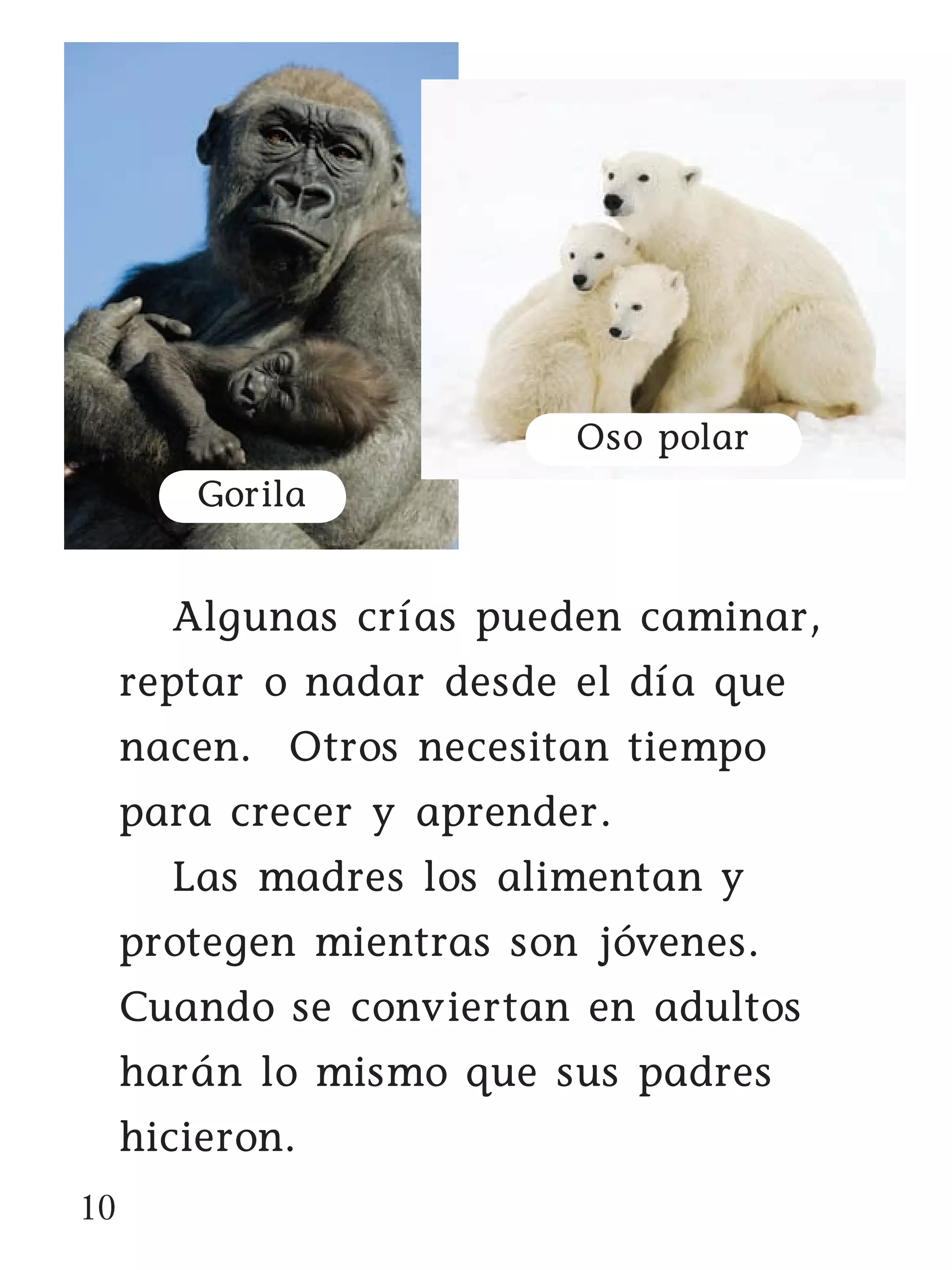 Asi se-mueven-los-animales | PDF