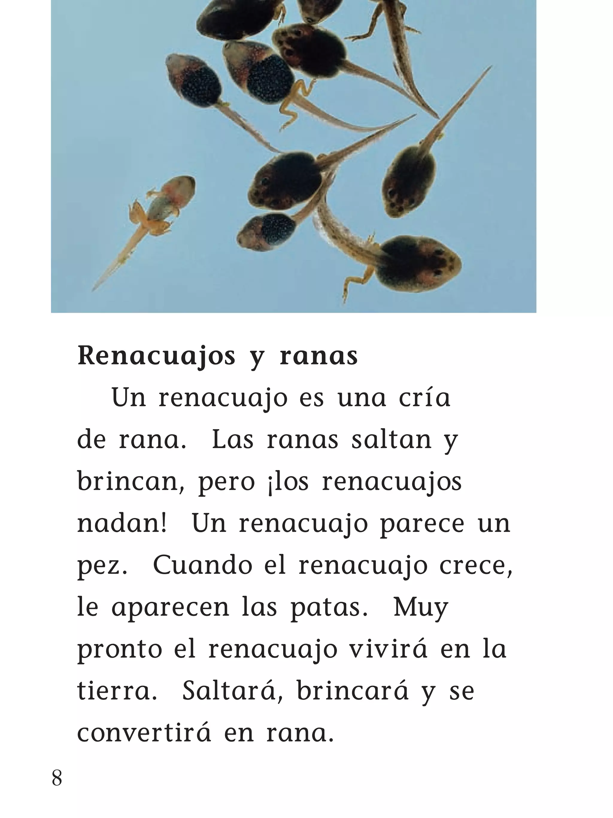 Asi se-mueven-los-animales | PDF