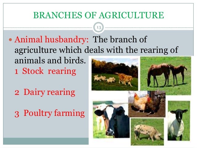Agriculture and its history