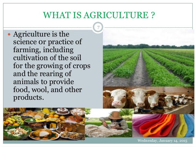 Agriculture and its history
