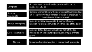Asia scoring for spine trauma | PPTX
