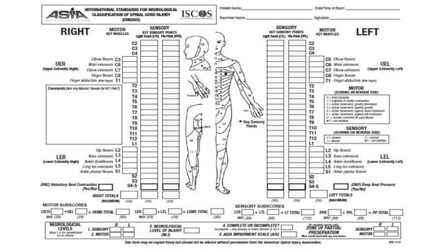 Asia scoring for spine trauma | PPTX