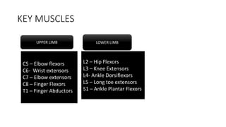 Asia scoring for spine trauma | PPTX