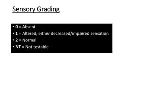 Asia scoring for spine trauma | PPTX