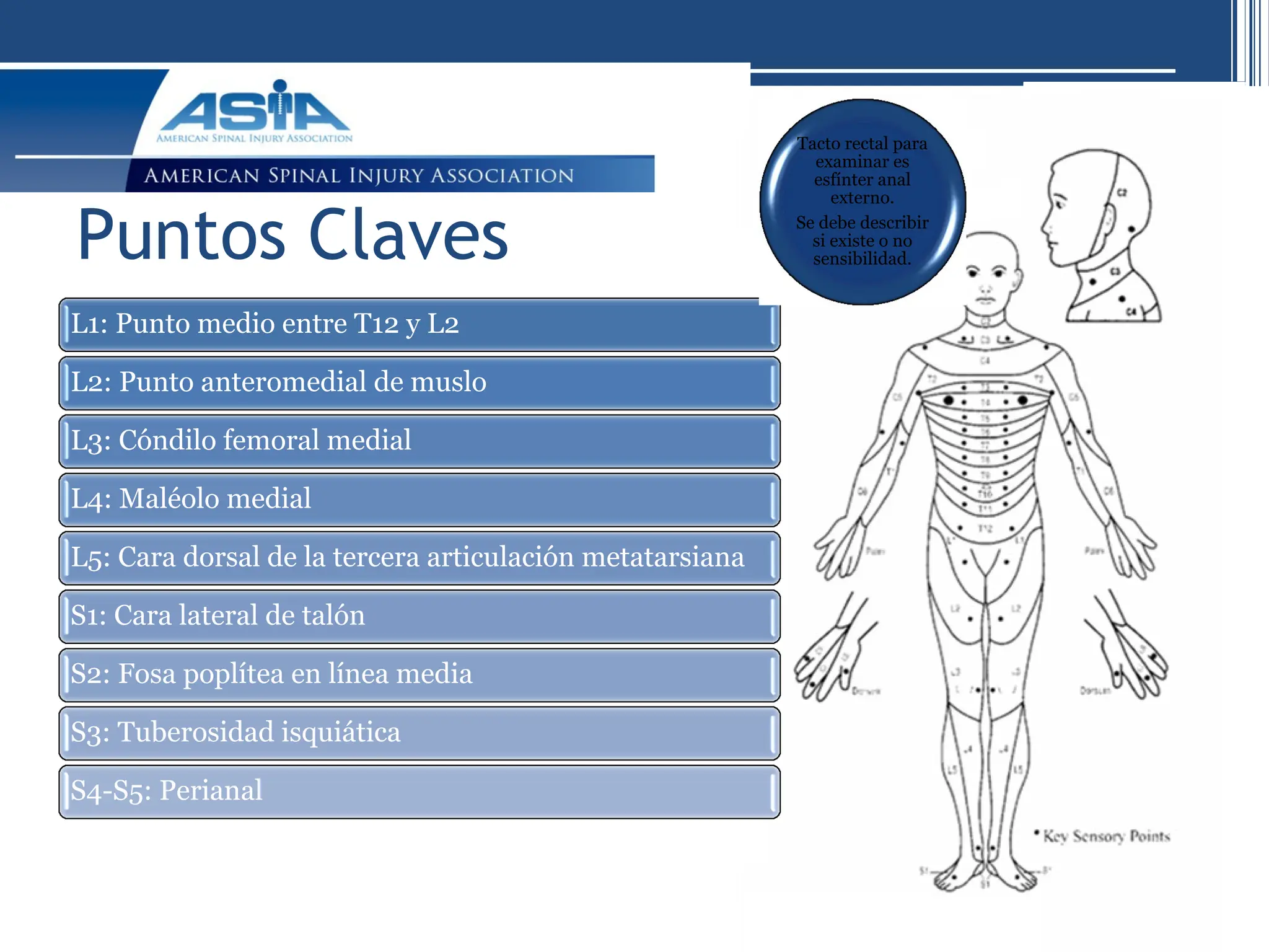 Clasificación neurologica de la lesión medular ASIA.pdf