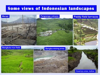 Soil Map information in Indonesia | PPT