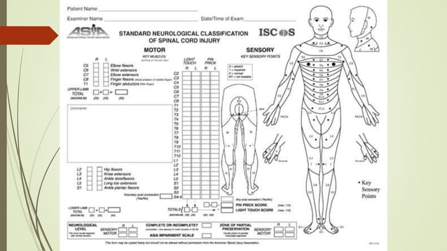 ASIA Classification powerpoint presentation | PPTX