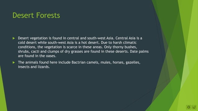 Asia: Climate and Natural Vegetation | PPTX