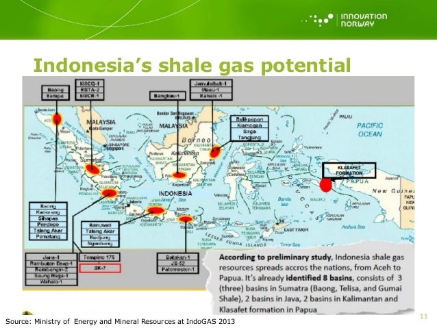 Business opportunities in Indonesia within oil and gas