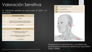 Clasificación de ASIA dolor y lesiones medulares | PPTX