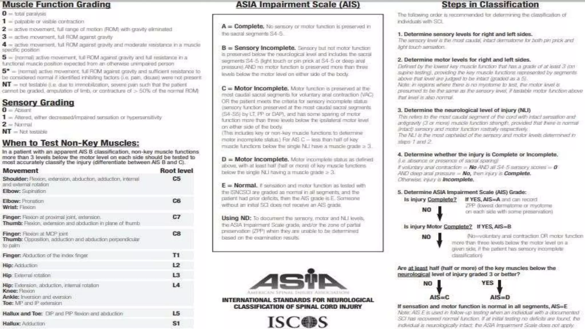 AIS - ASIA Impairment Scale | PPTX