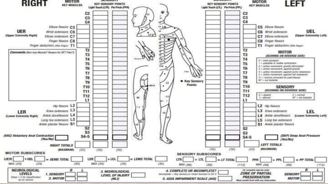 AIS - ASIA Impairment Scale | PPTX