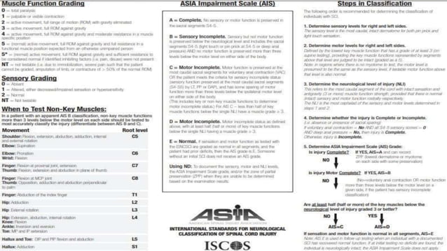 AIS - ASIA Impairment Scale | PPTX