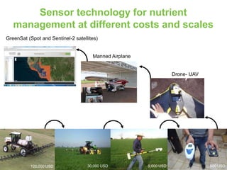 Precision agriculture in maize-based cropping systems | PPTX