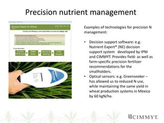 Precision agriculture in maize-based cropping systems | PPTX