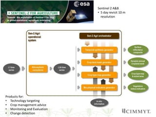 Precision agriculture in maize-based cropping systems | PPTX