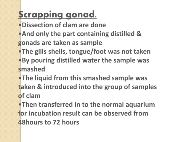 Asian clam breeding | PPTX | Zoos & Aquariums | Attractions