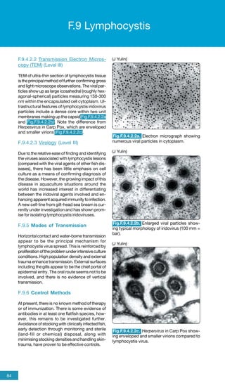 Asian diagnostic of fish disease | PDF