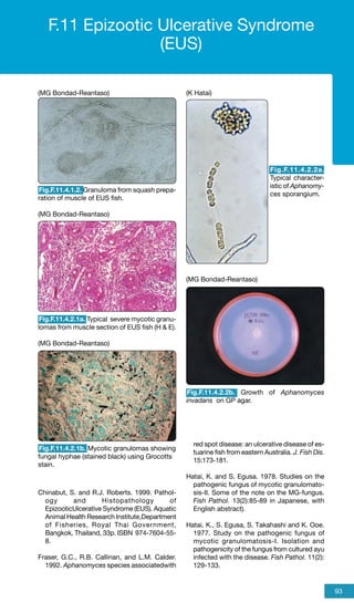 Asian diagnostic of fish disease | PDF