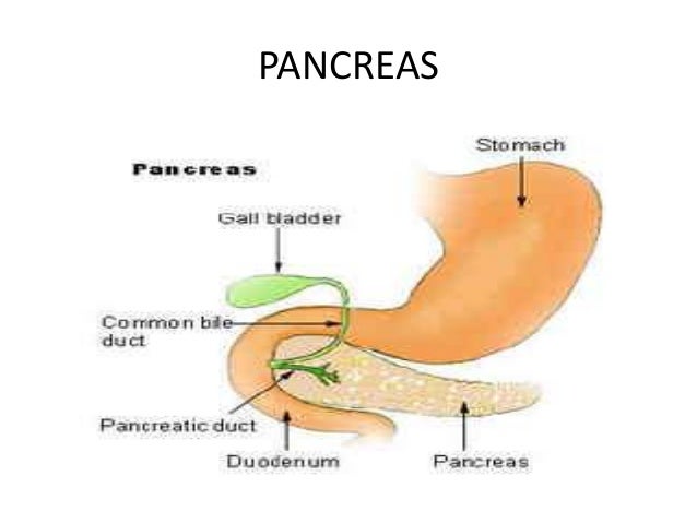 Asian medical institute PANCRES OF CHILD