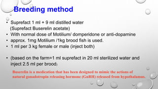 Asian seabass farming ppt | PPTX