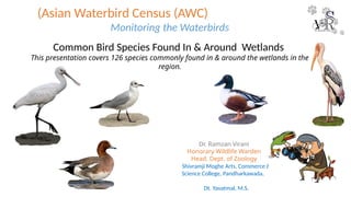 Asian Waterbird Census Training Manual (Understanding Wetlands ...