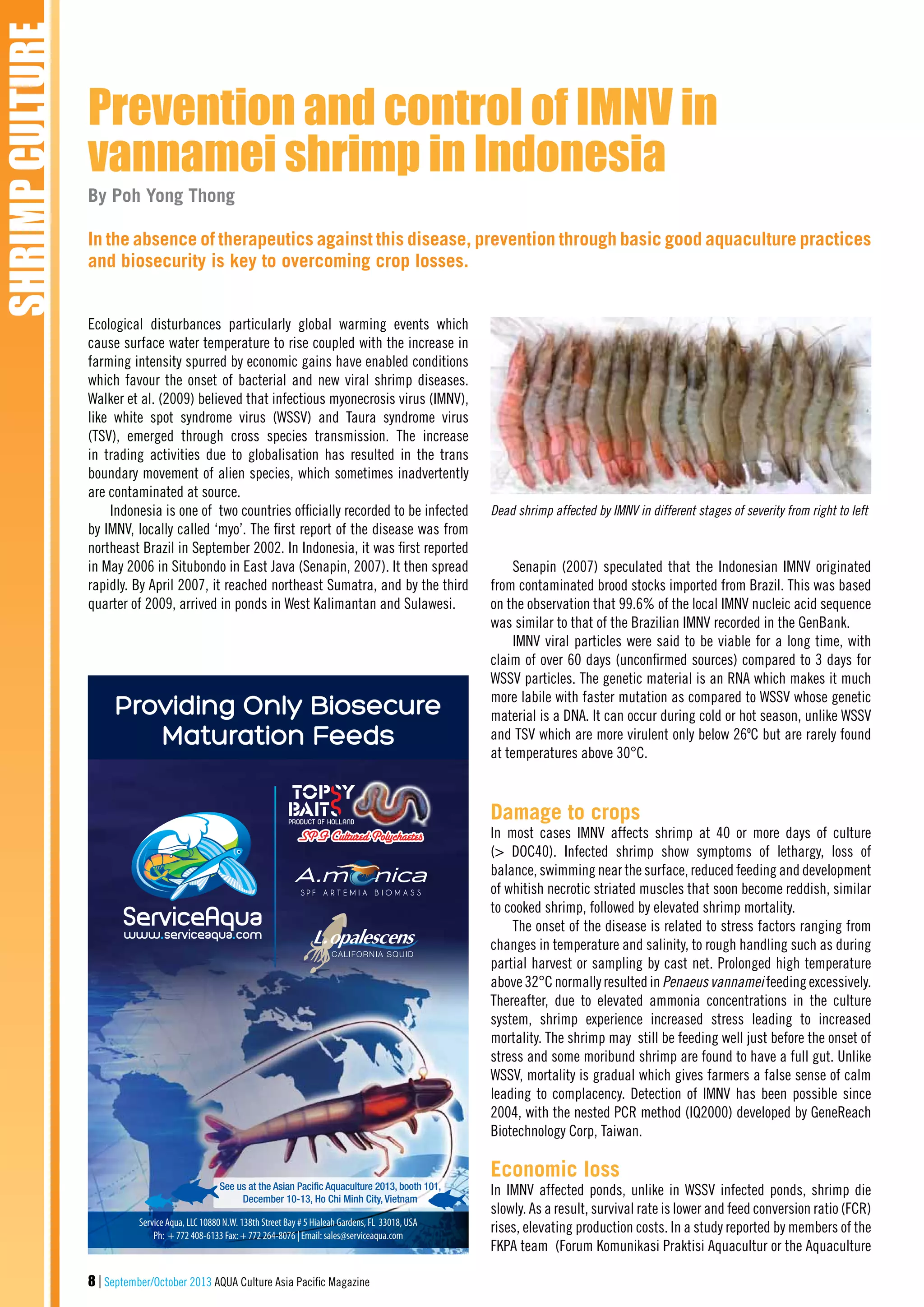 The control of viral shrimp disease imnv in indonesia | PDF