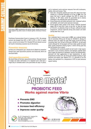 The control of viral shrimp disease imnv in indonesia | PDF