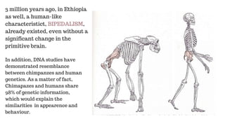 Asian race | PPTX | Geography | Science