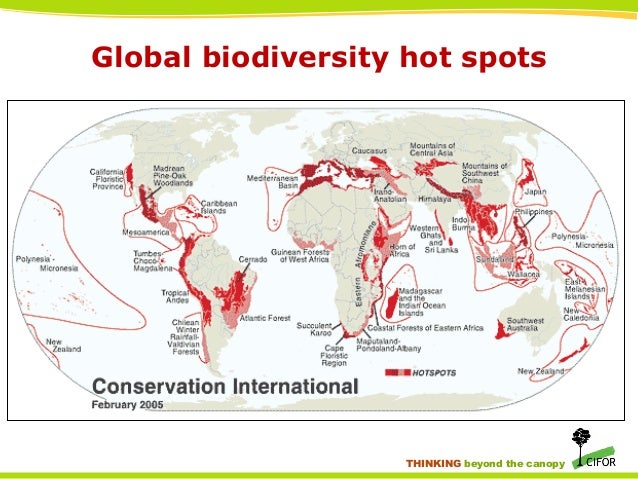 Unraveling The Drivers Of Southeast Asias Biodiversity