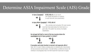 Asia scale | PPTX