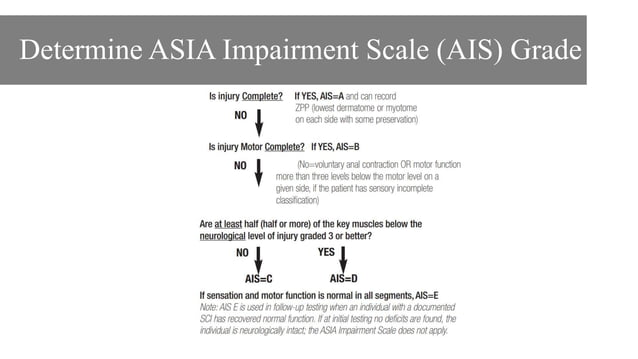 Asia scale | PPTX
