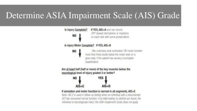 Asia scale