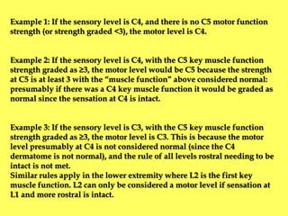 ASIA IMPAIREMENT SCALE | PPTX
