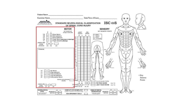 ASIA Scale.pptx | Death, Injury, or Military Conflict | Sensitive Topics