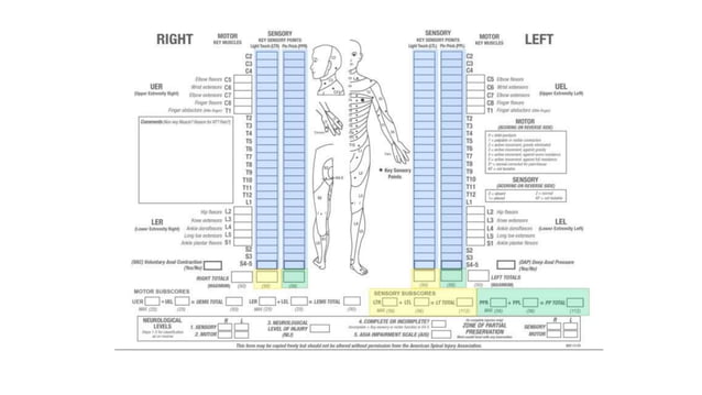 ASIA Scale.pptx | Death, Injury, or Military Conflict | Sensitive Topics