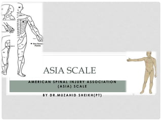 ASIA SCALE FOR SPINAL CORD INJURY ASSESSMENT | PDF