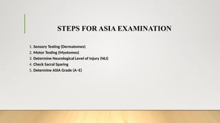 American Spinal Injury Association Impairment Scale -ASIA Scale | PPTX