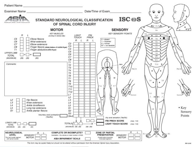 Computerised Asia scoring for SCI- Nursing role