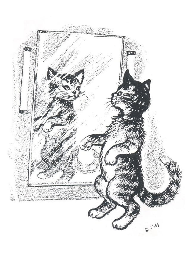 Asi cat s láminas | PDF