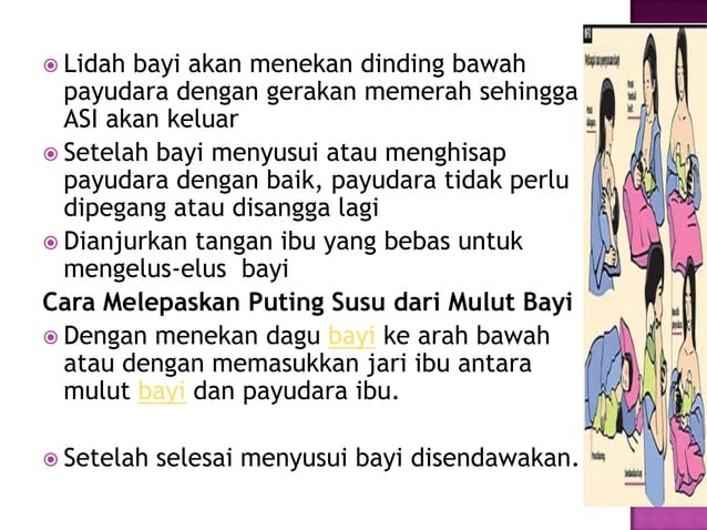 Asi eksklusif | PPTX