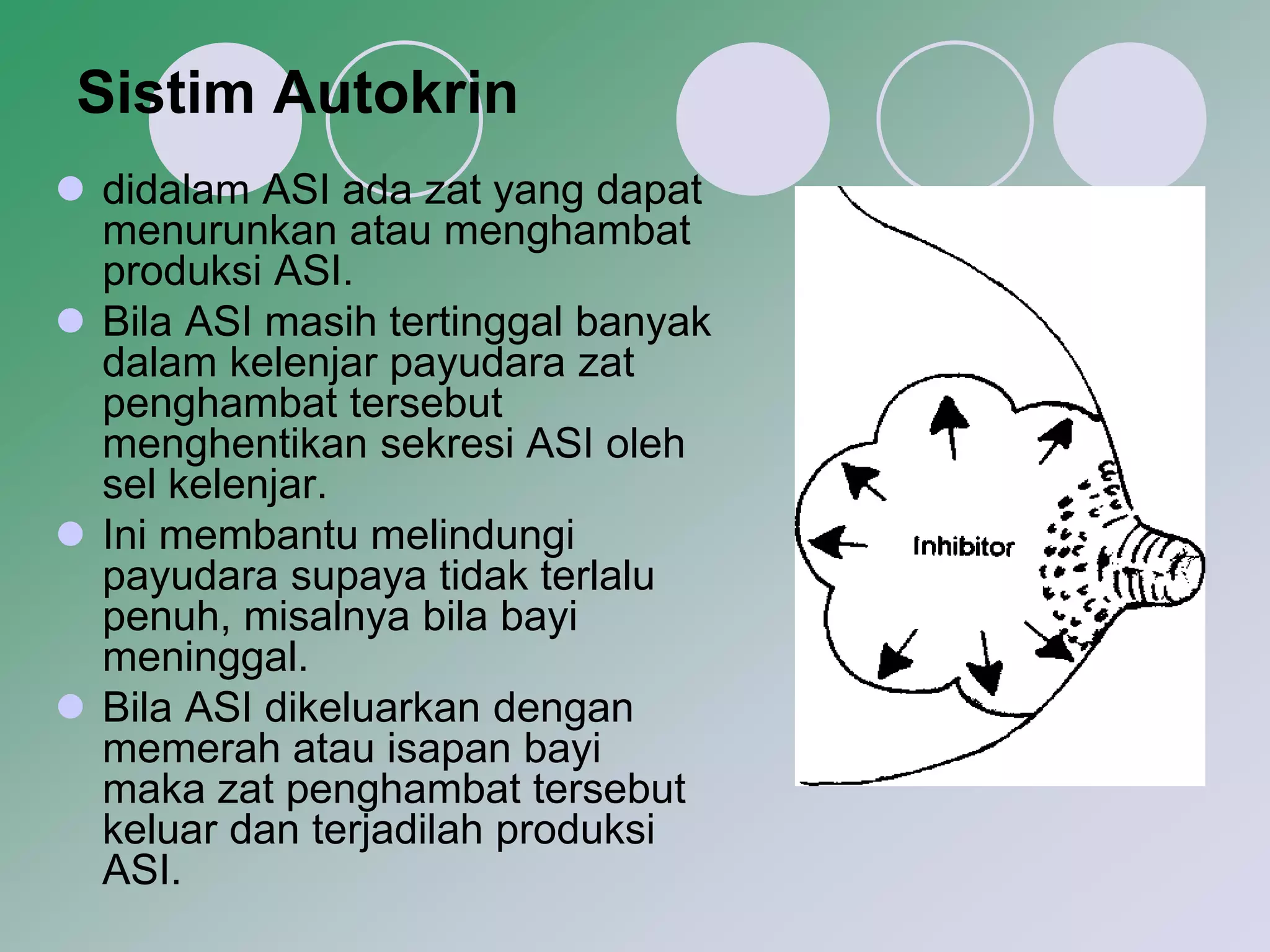 Asi eksklusif | PPTX